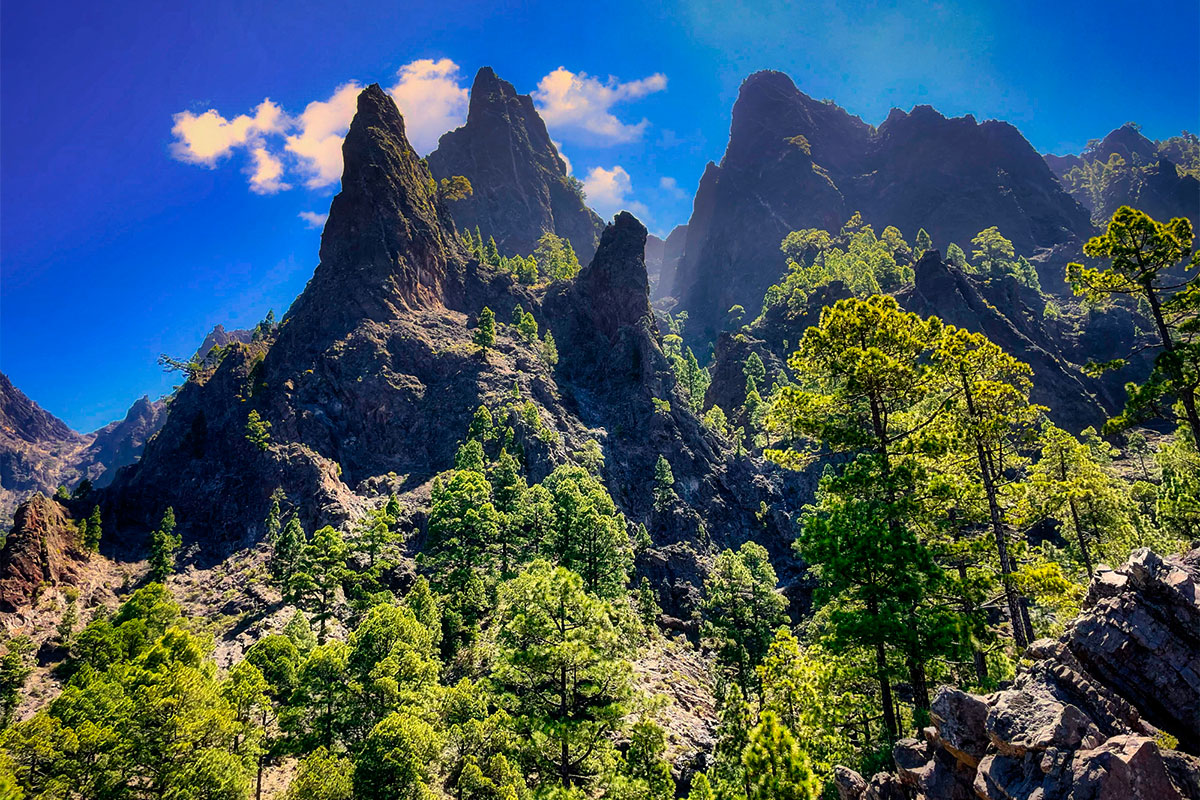 Fotocanarias. Guía visual de las Islas Canarias. Parque Nacional ...